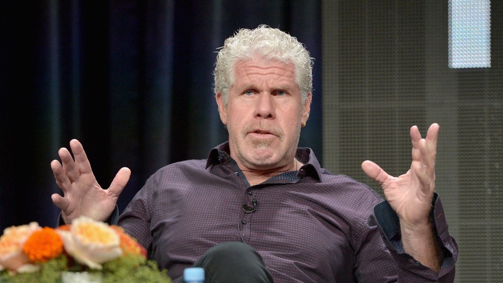 Ron Perlman Through The Years