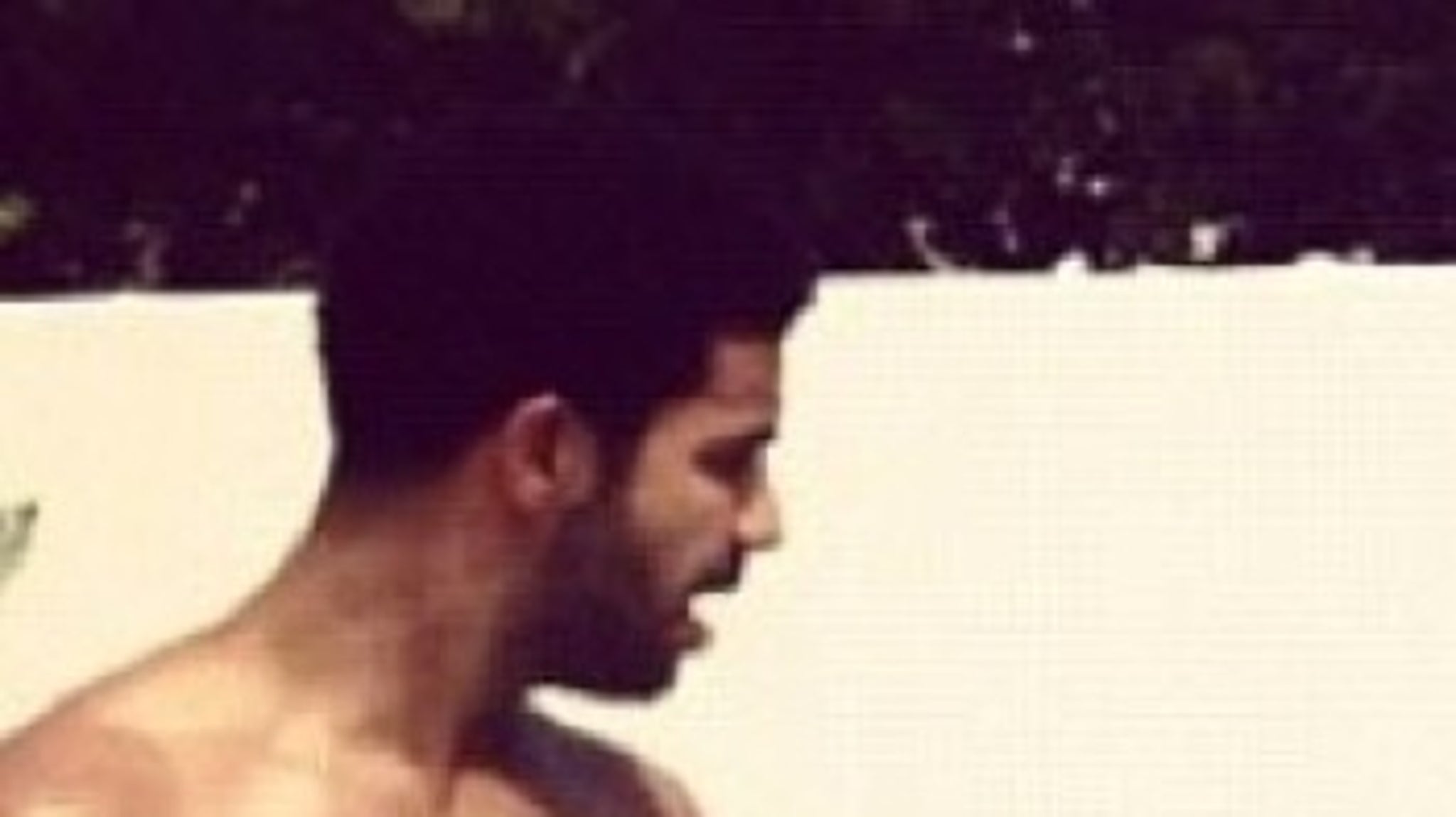 Drake's Sexy Shirtless Photos