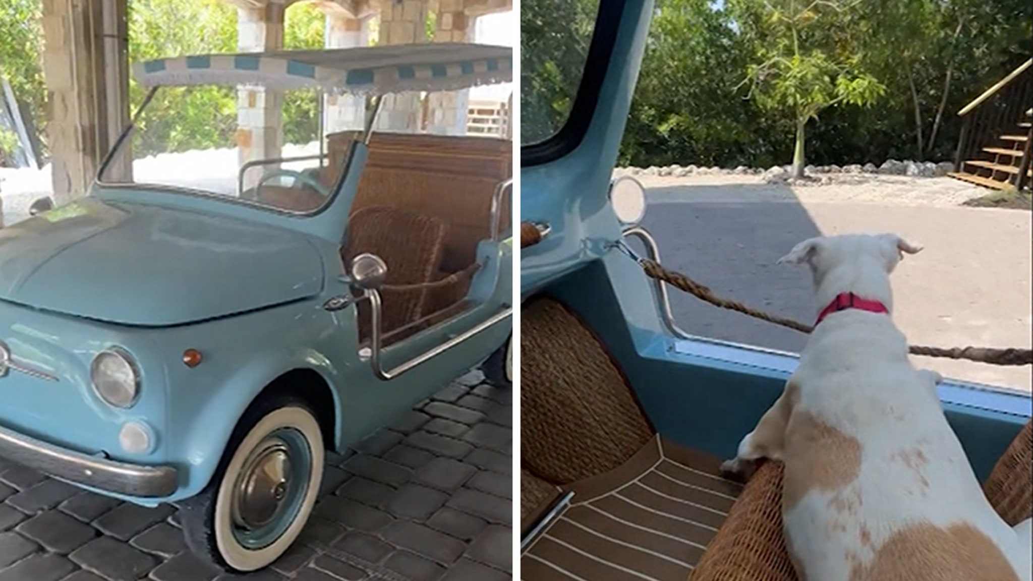 Sydney Sweeney Cruises Around In Custom Blue Fiat 500 With Dog