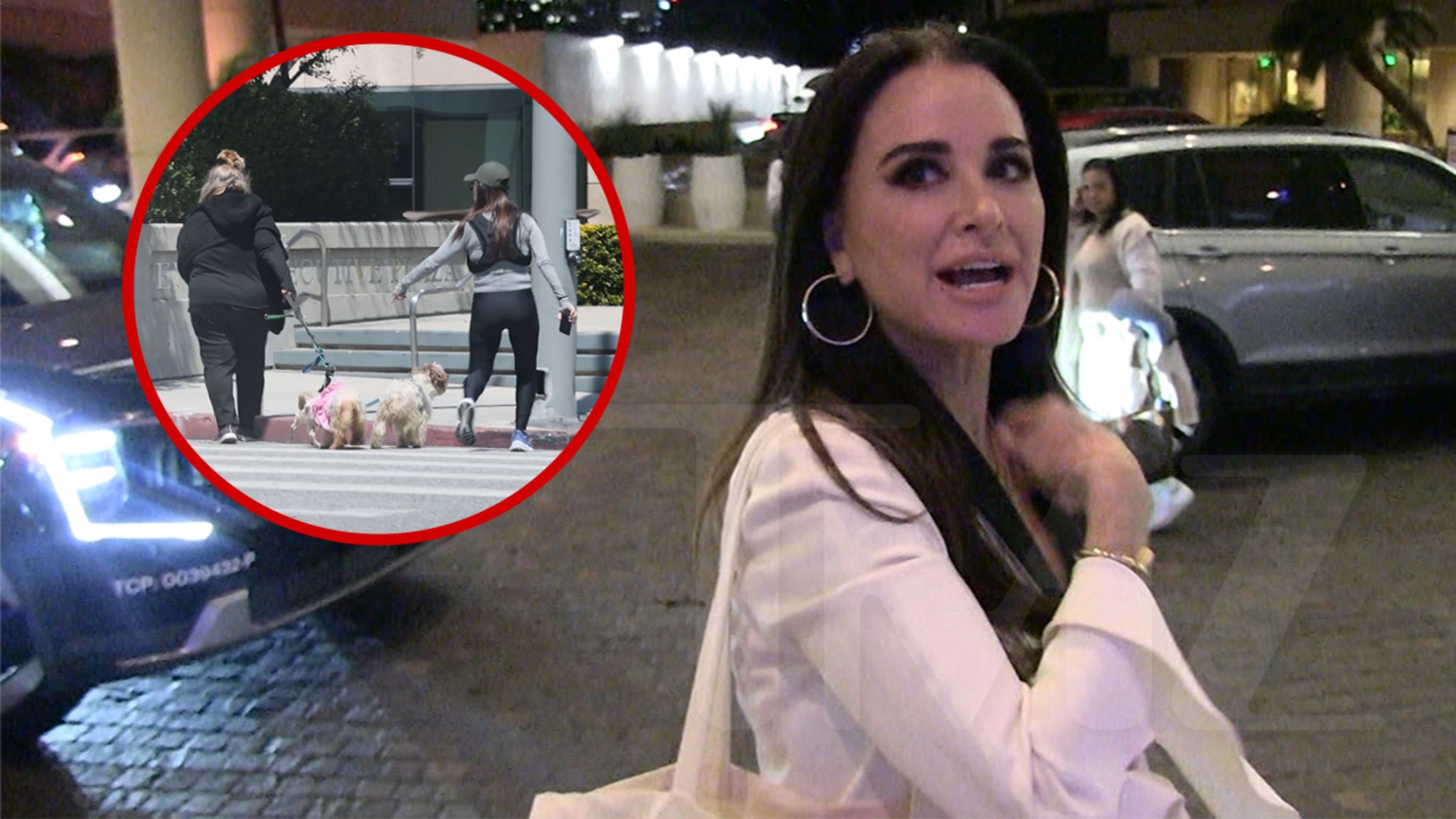 Kyle Richards Claims Woman Was Dragging Dog Before Heated Confrontation