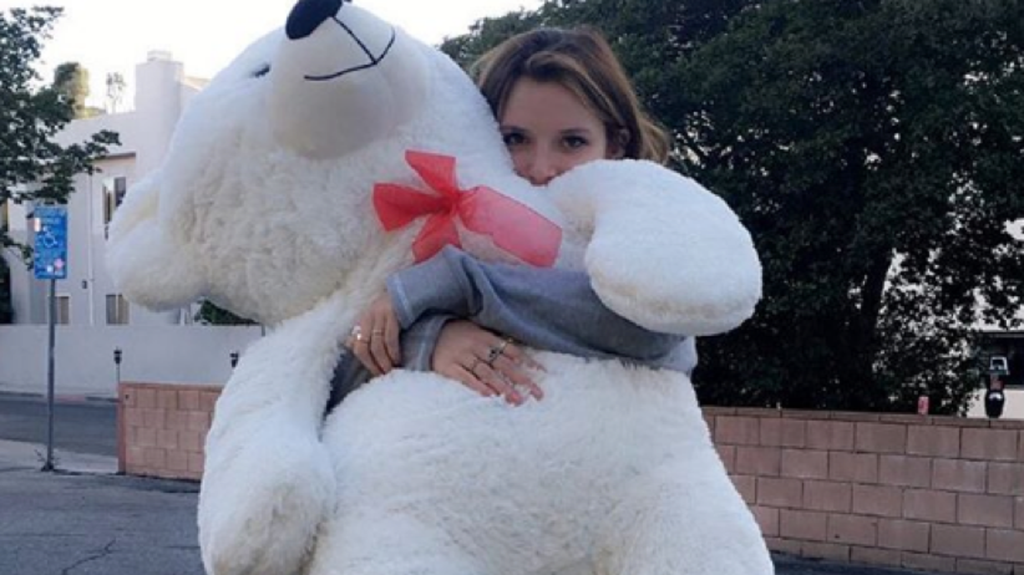 Babes With Big Teddy Bears