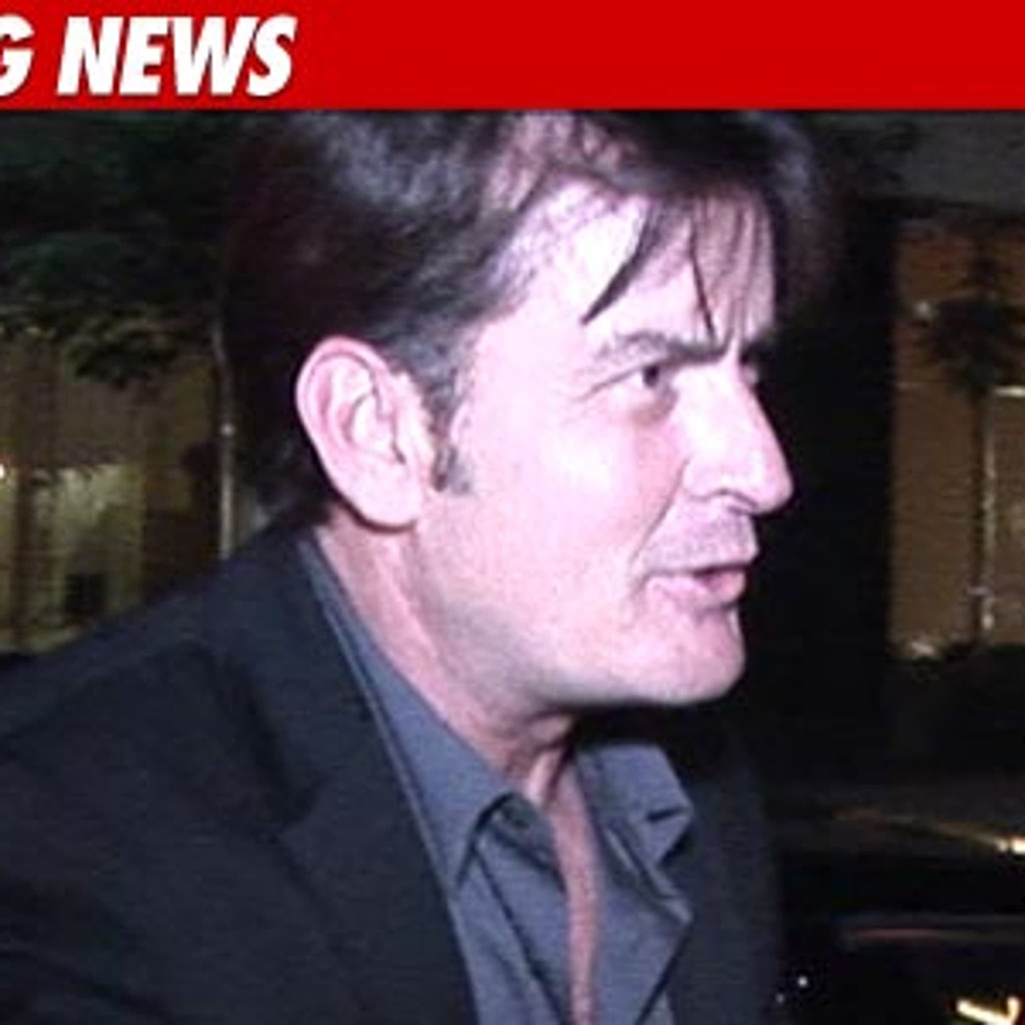Charlie Sheen Winning Interview