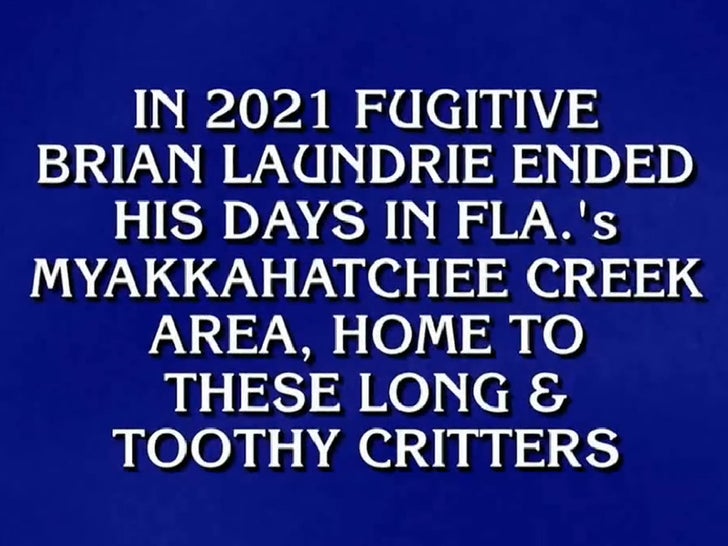Celebrity Jeopardy Final Question 60 Photos - Moonagedaydream.film