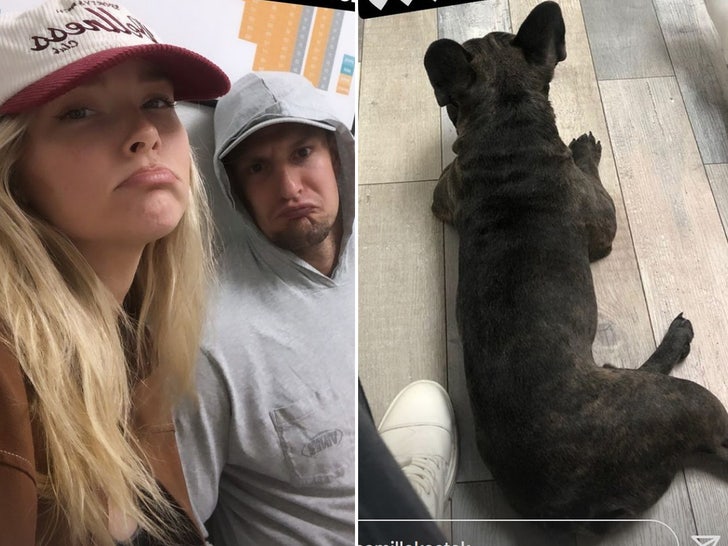 Rob Gronkowski s Dog Ralphie Gets Sick Days Before Dad s Playoff Game