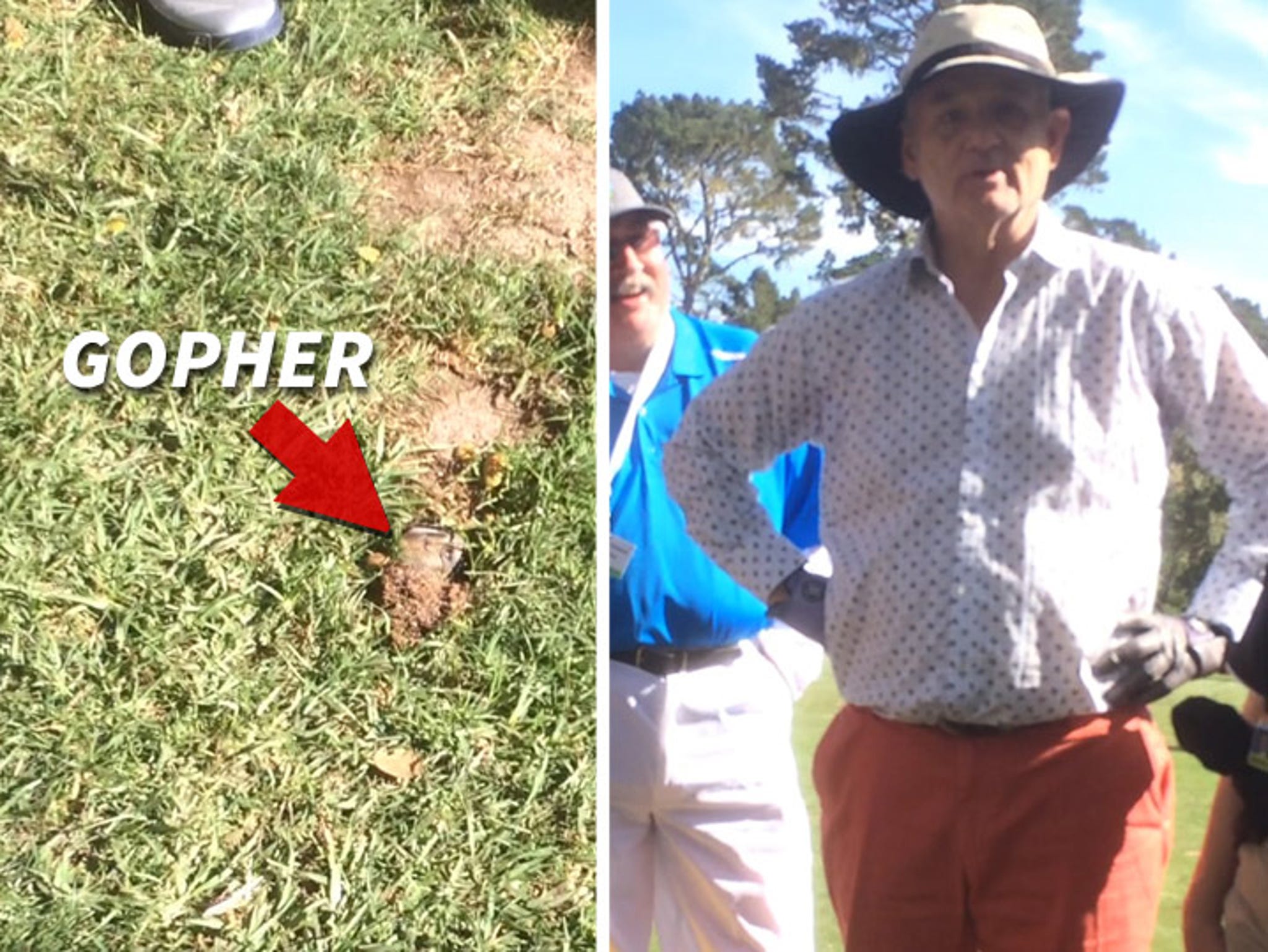 Bill Murray Caddyshack Gopher