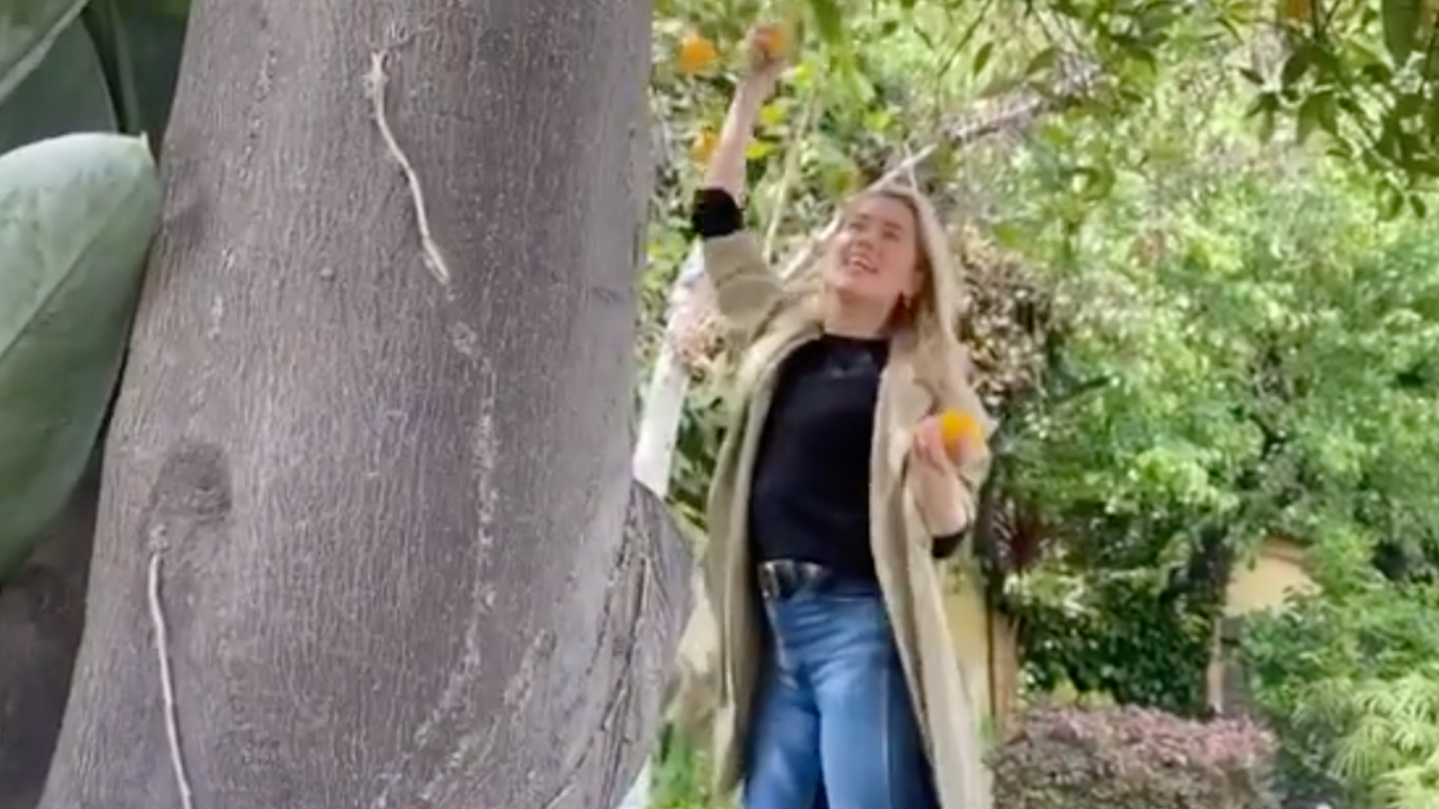 Social Distancing Stars Getting Fresh Air