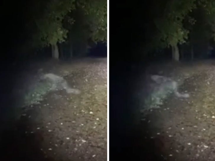 Real Devil Caught On Camera