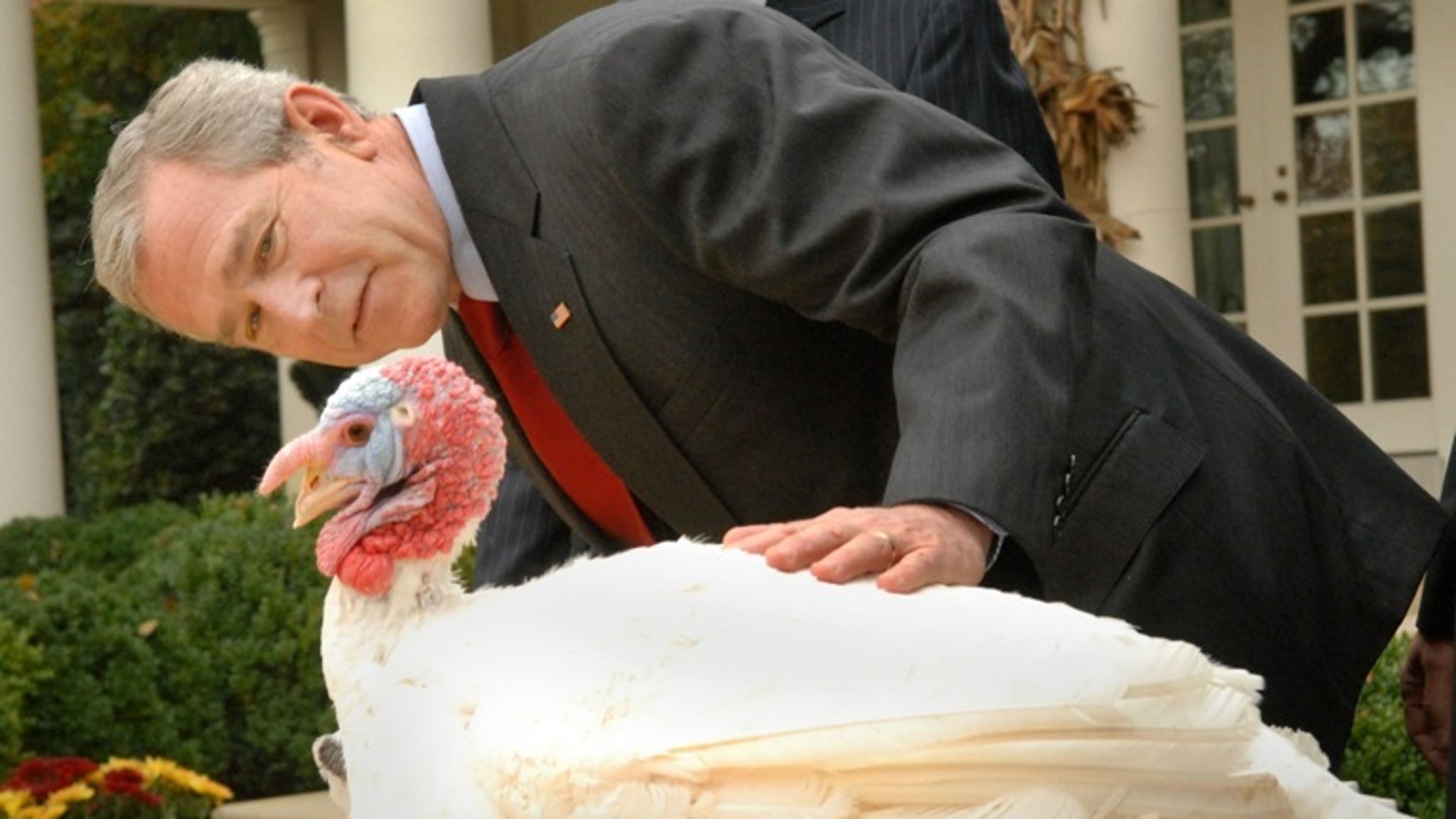 Presidents Pardon Poultry -- See The Thankful Turkeys!