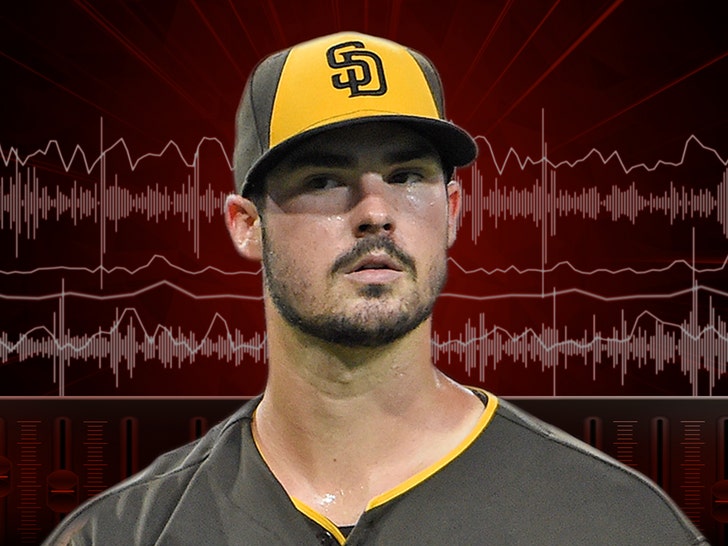 Mike Vick -- I'M IN THE STAND-UP COMEDY BIZ