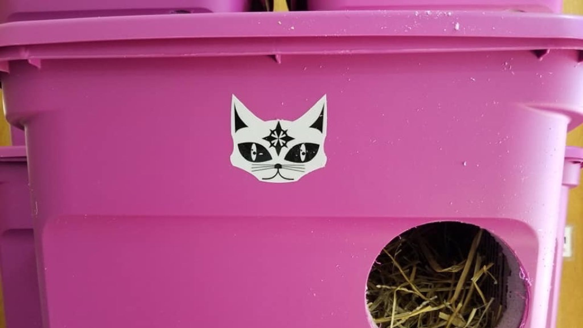 Chicago Cat Community -- Creating Shelters For Cold Conditions