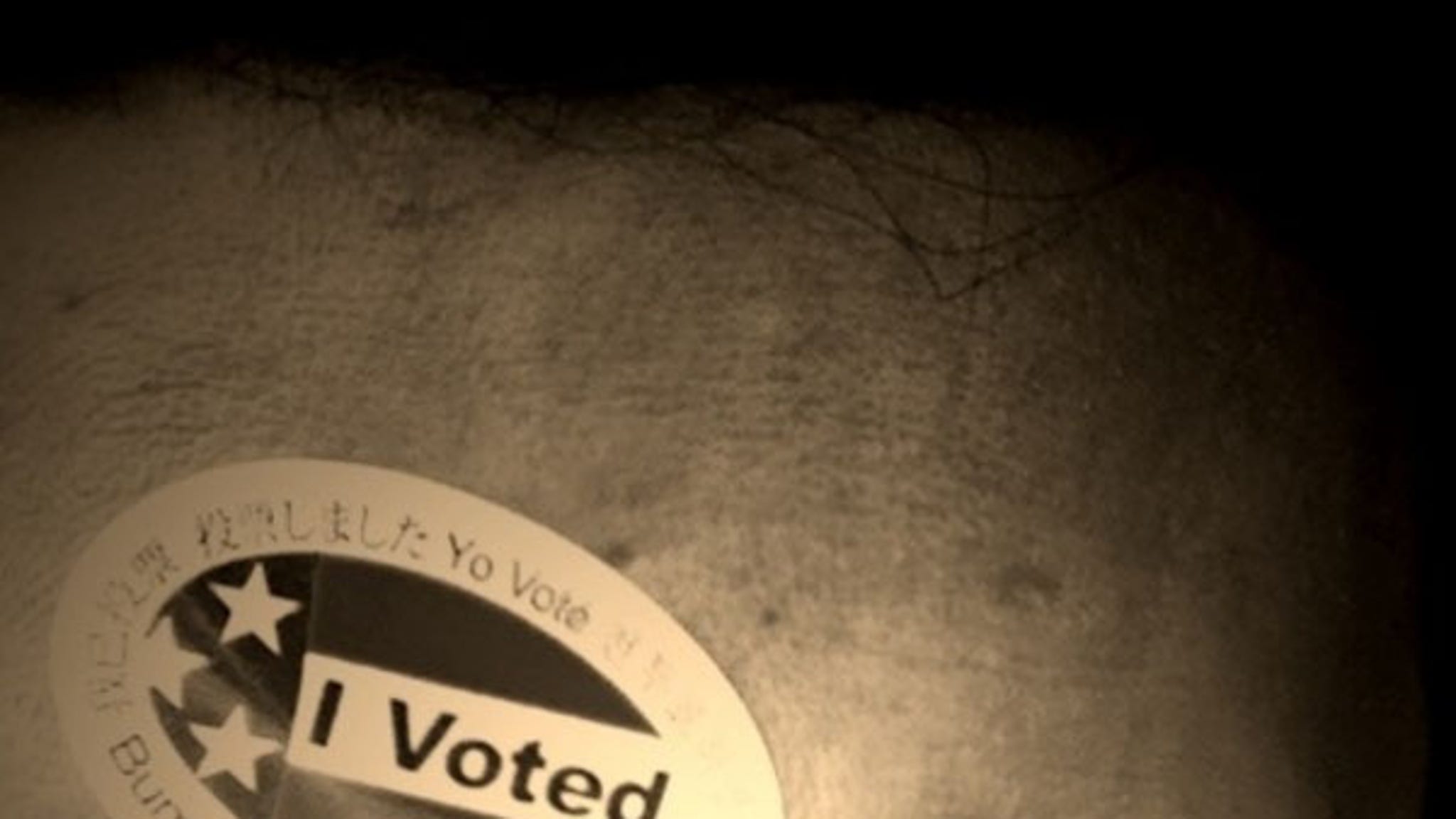 Election Day -- Stars at the Polls