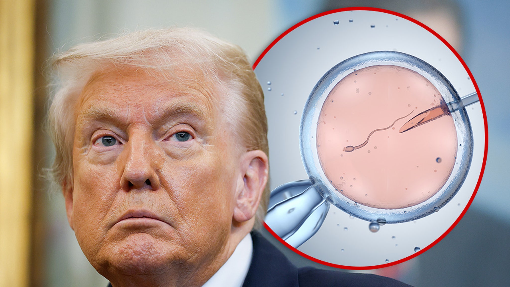 Donald Trump Says He Cut Deal To Make IVF Treatment More Accessible