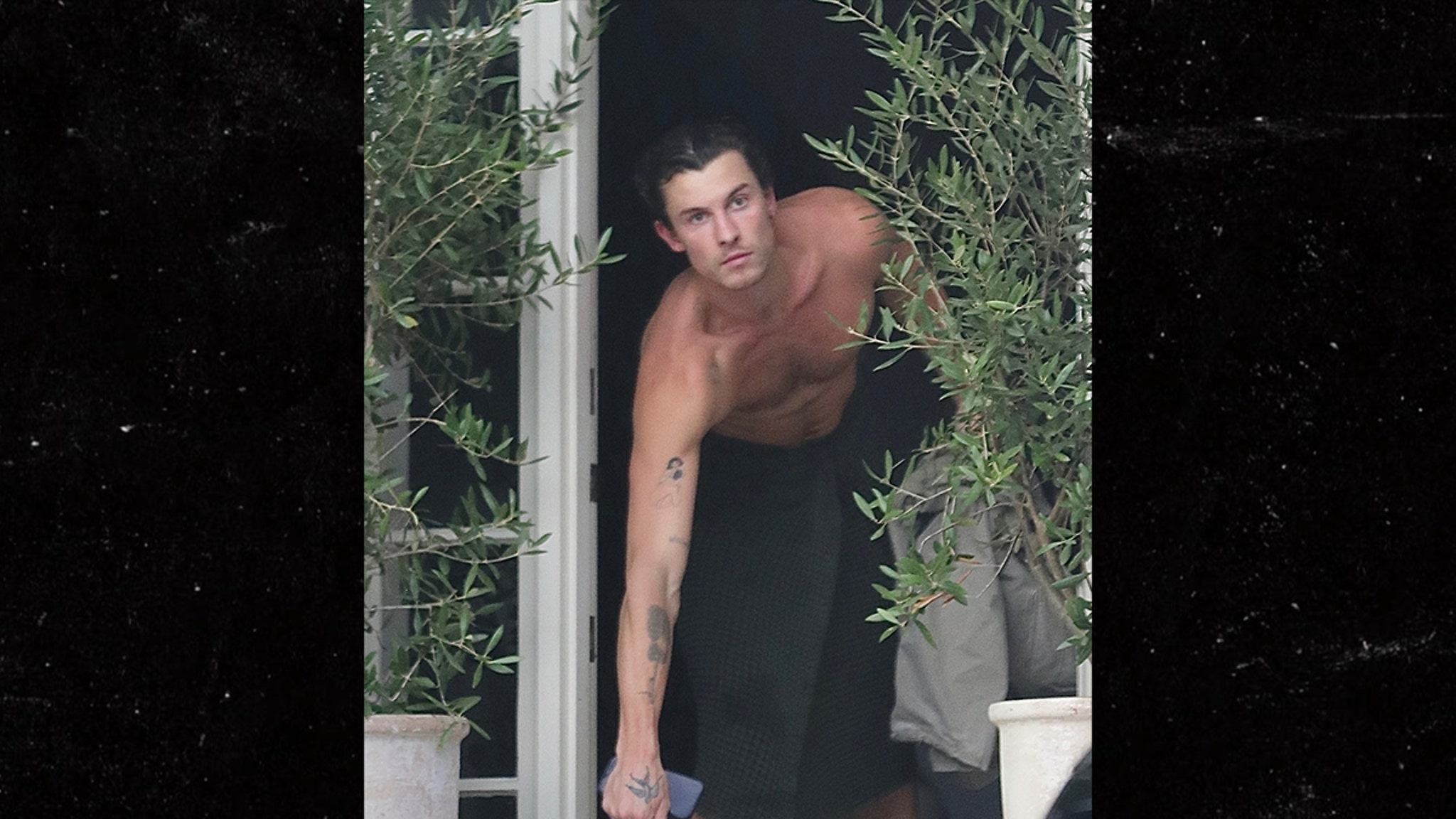 Shawn Mendes Grabs Food Delivery With Just a Towel On, See Pics