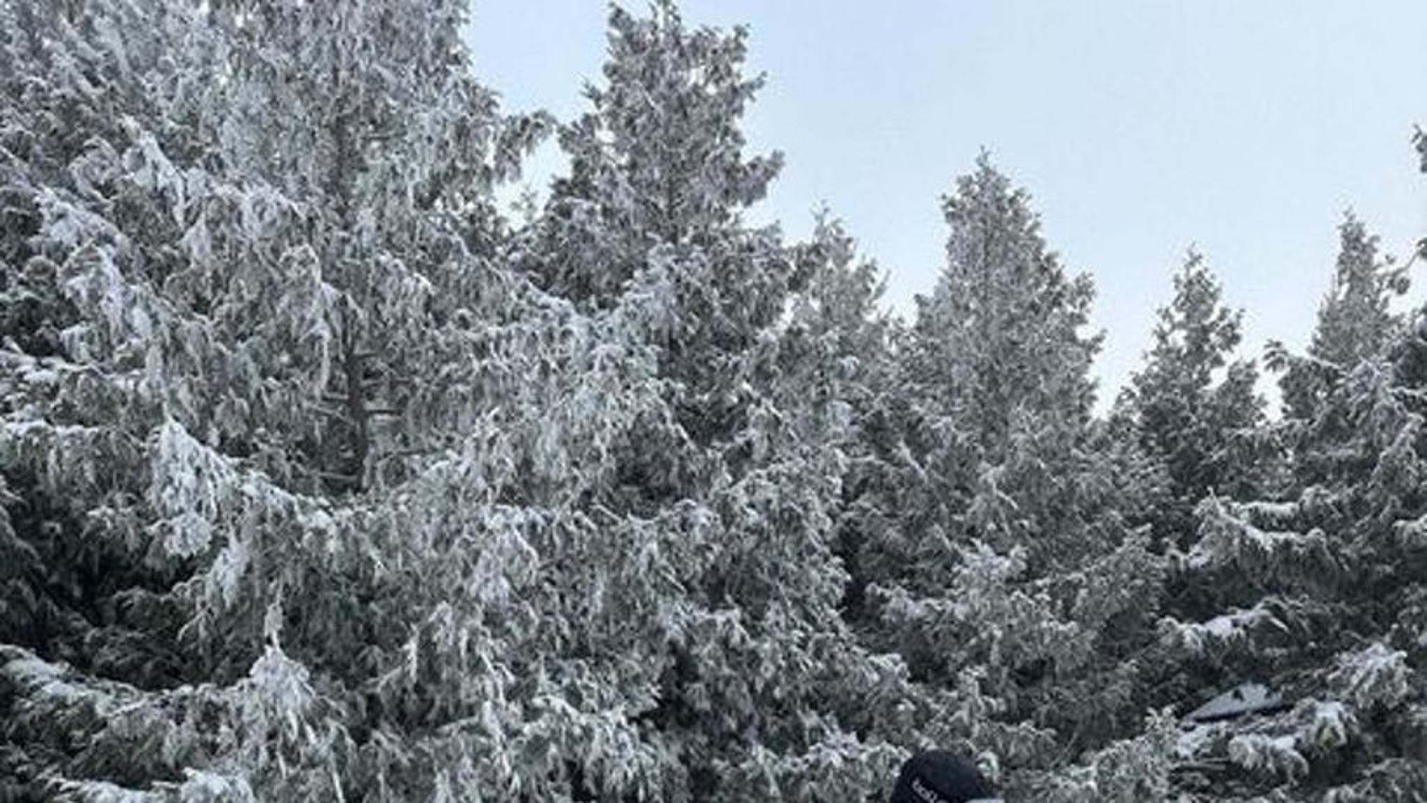 Snowy Stars Playing Winter Sports