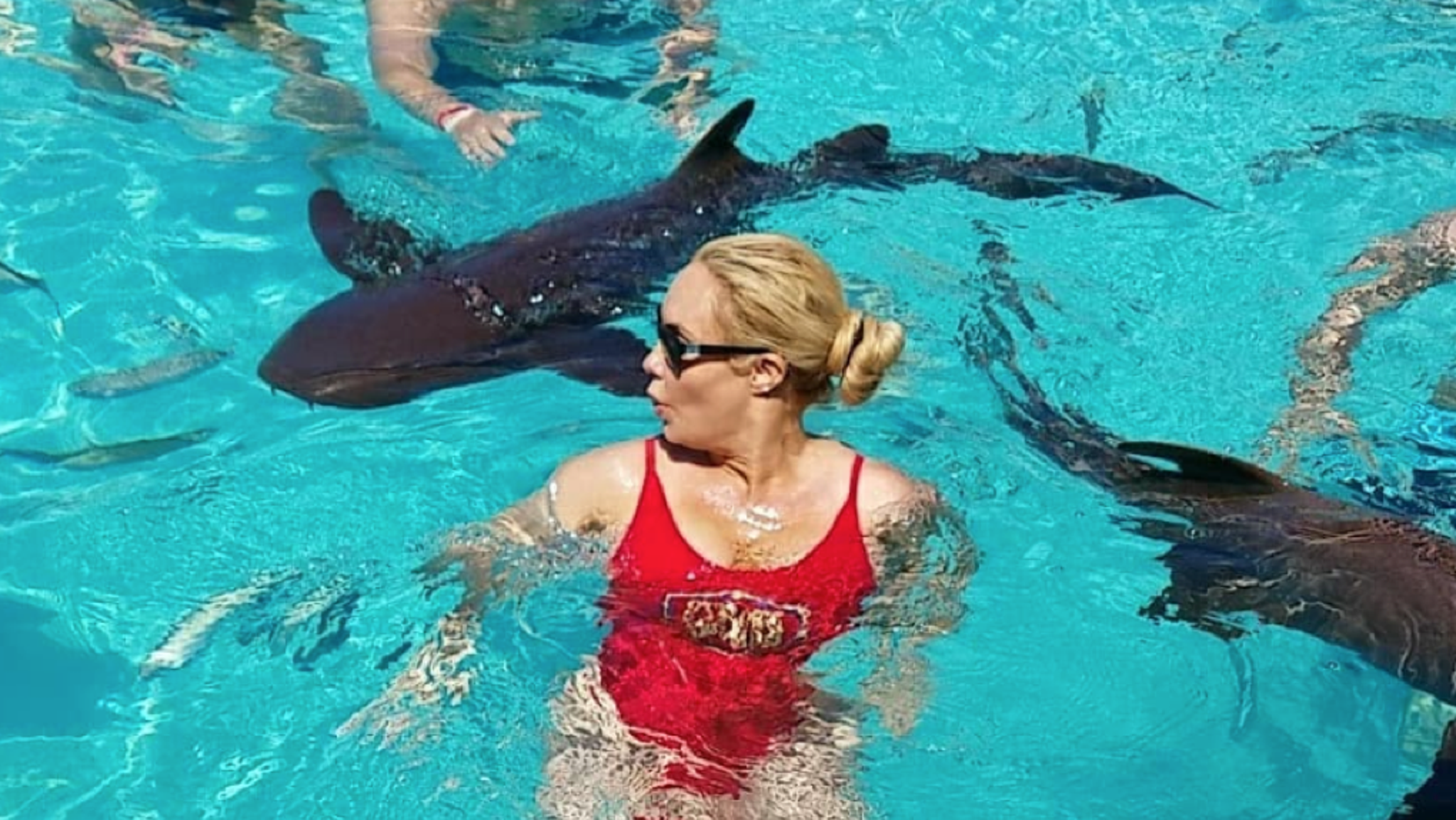 Stars Swimming With Sharks