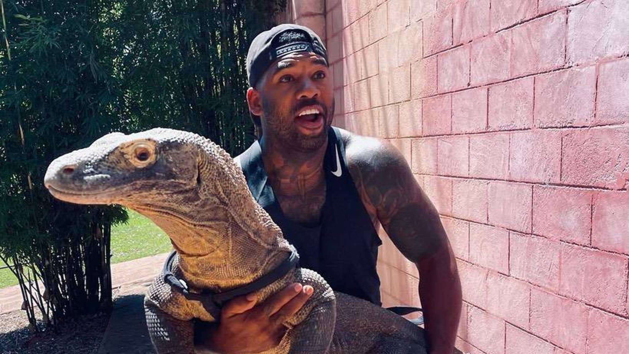 Mike Holston's Wild Photos