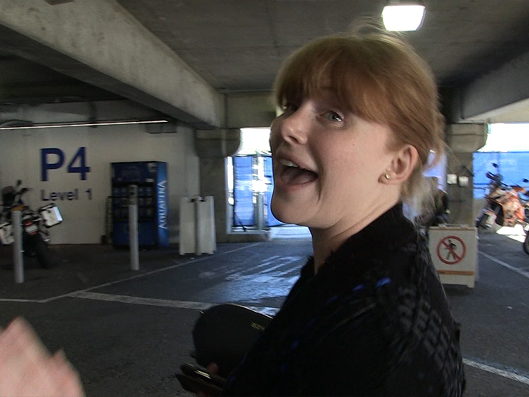 Bryce Dallas Howard The Grinch