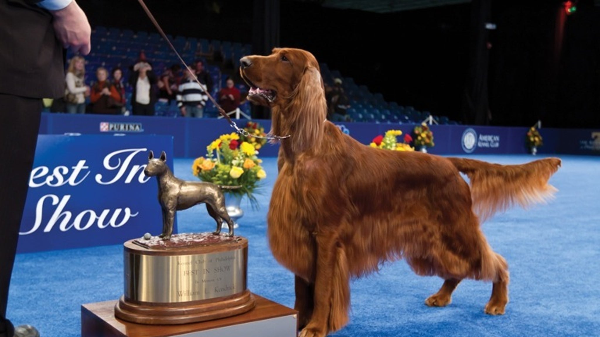 Best in Show Winners at National Dog Show Presented by Purina