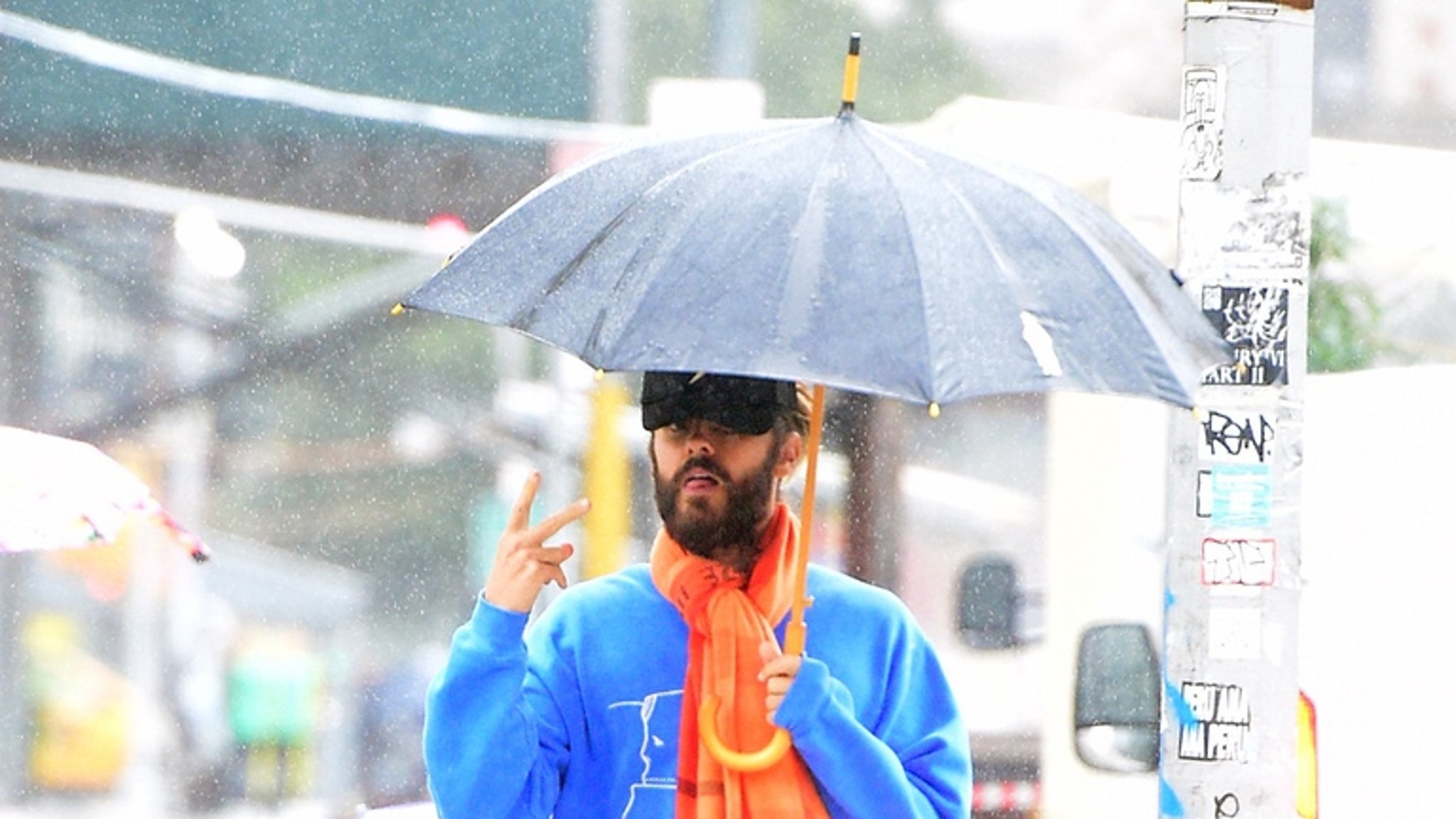 Stars In The Rain