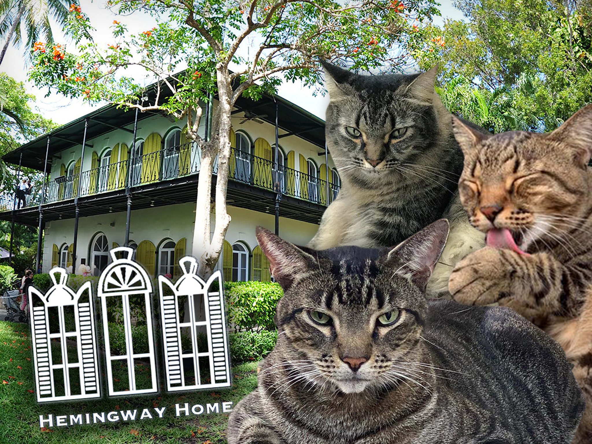 Hemingway House Wallpaper