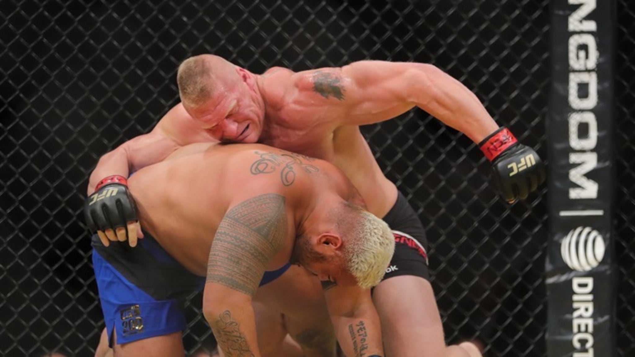 Brock Lesnar's Fight Photos