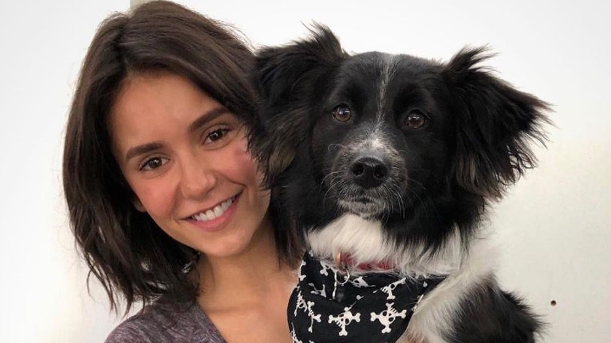 Celebrity Dog Moms