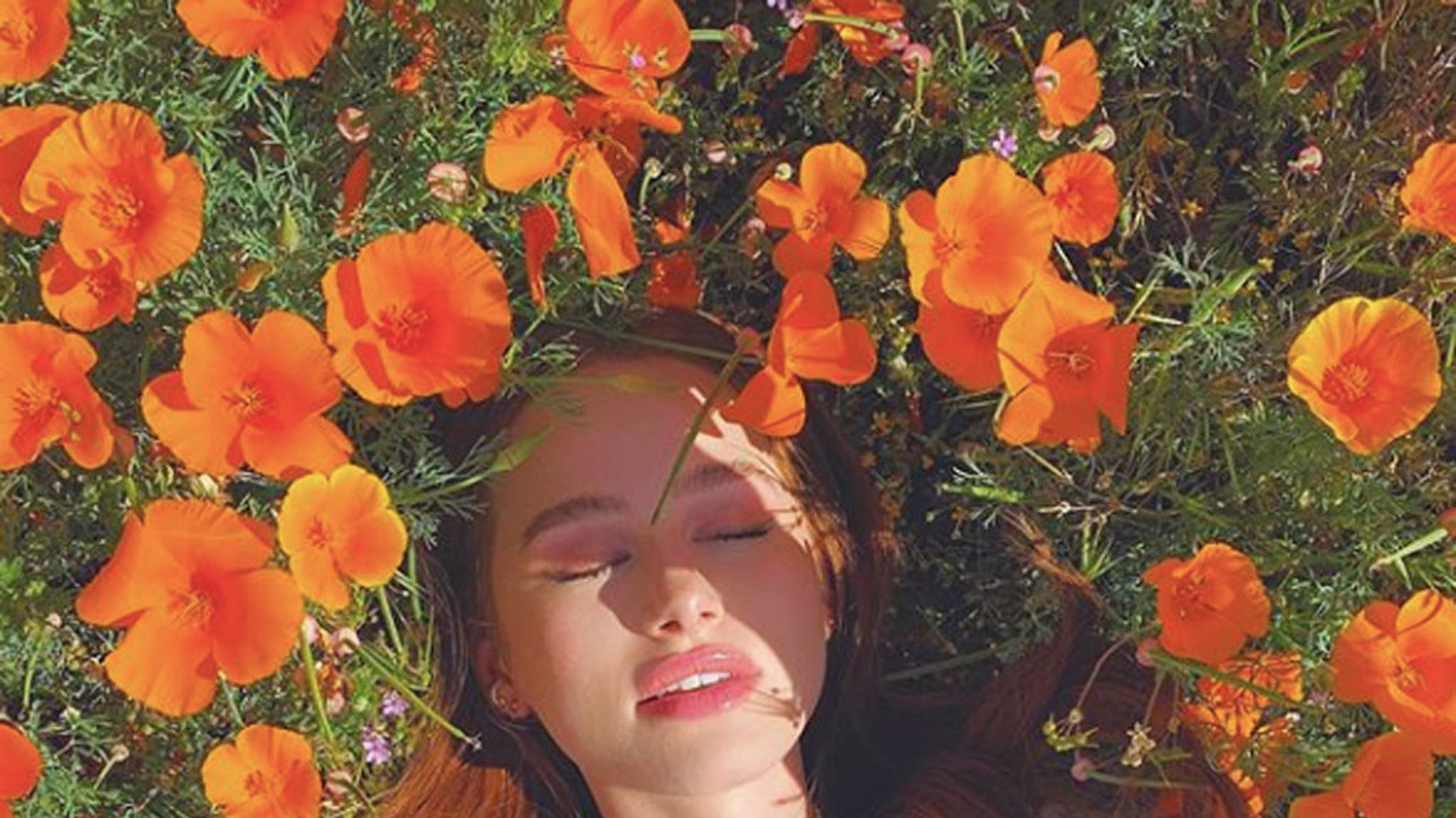 Super Bloom Stars -- Flower Power!