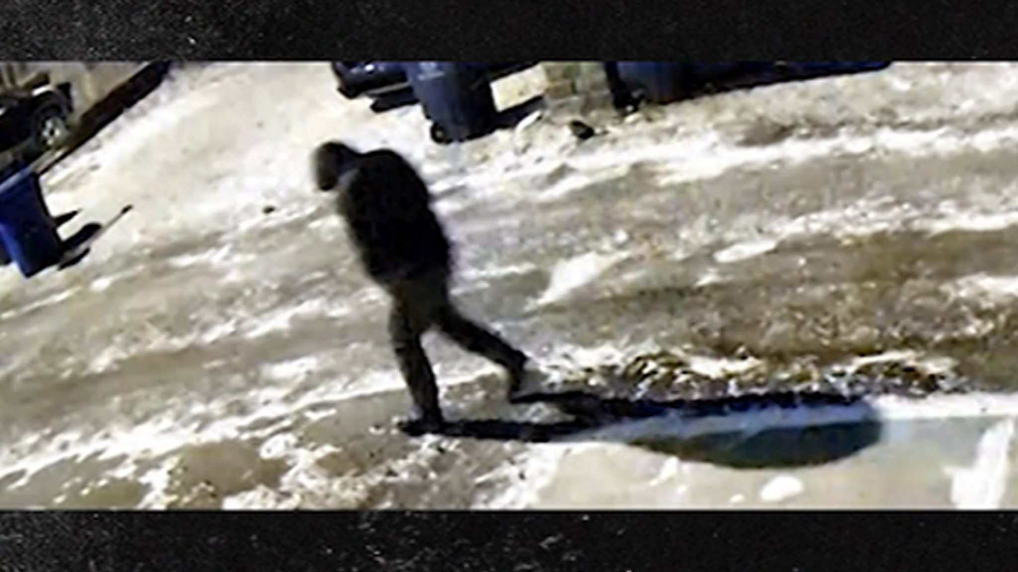 Police Release Video Showing Person of Interest in Dentist and Wife Murders