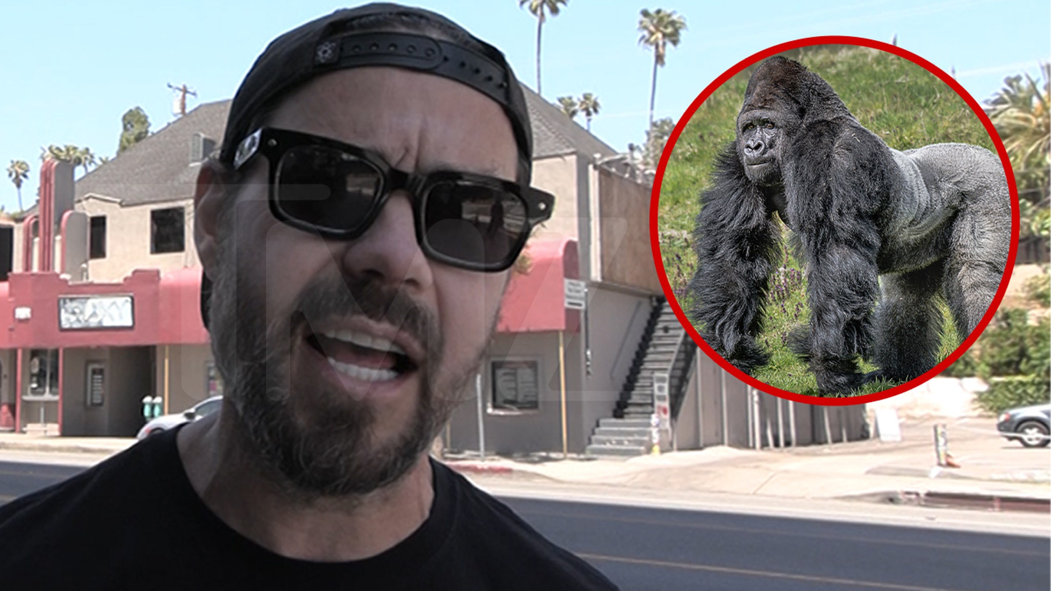 'Jackass' Star Chris Pontius Says a Gorilla Would Decimate 100 Men