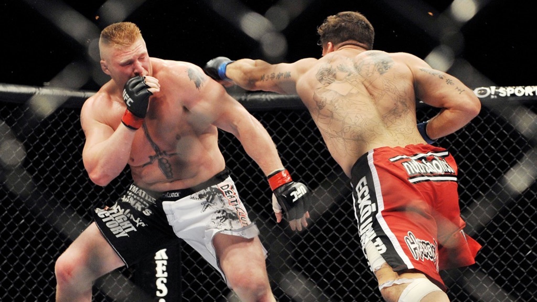 Brock Lesnar's Fight Photos