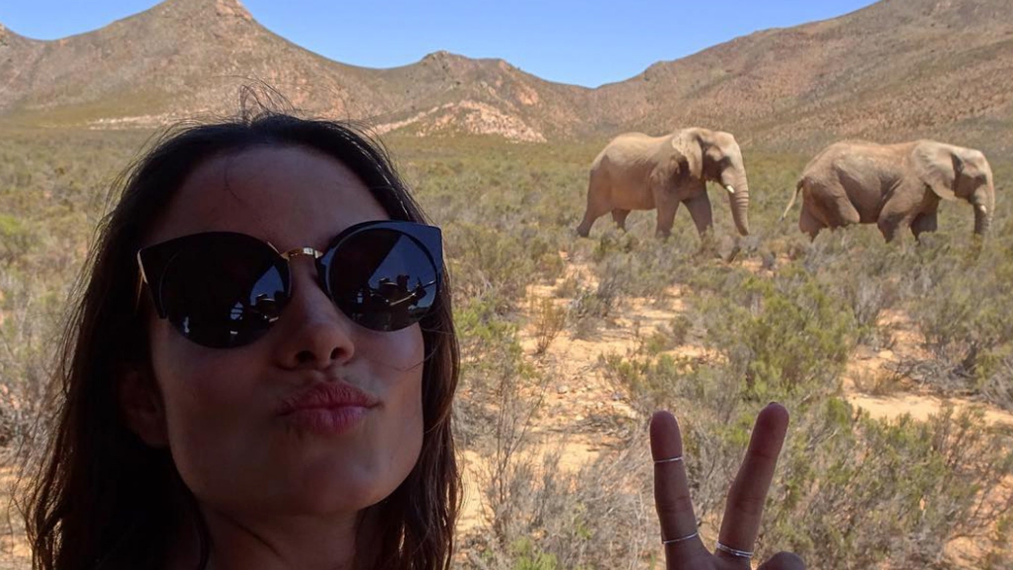 Stars With Elephants