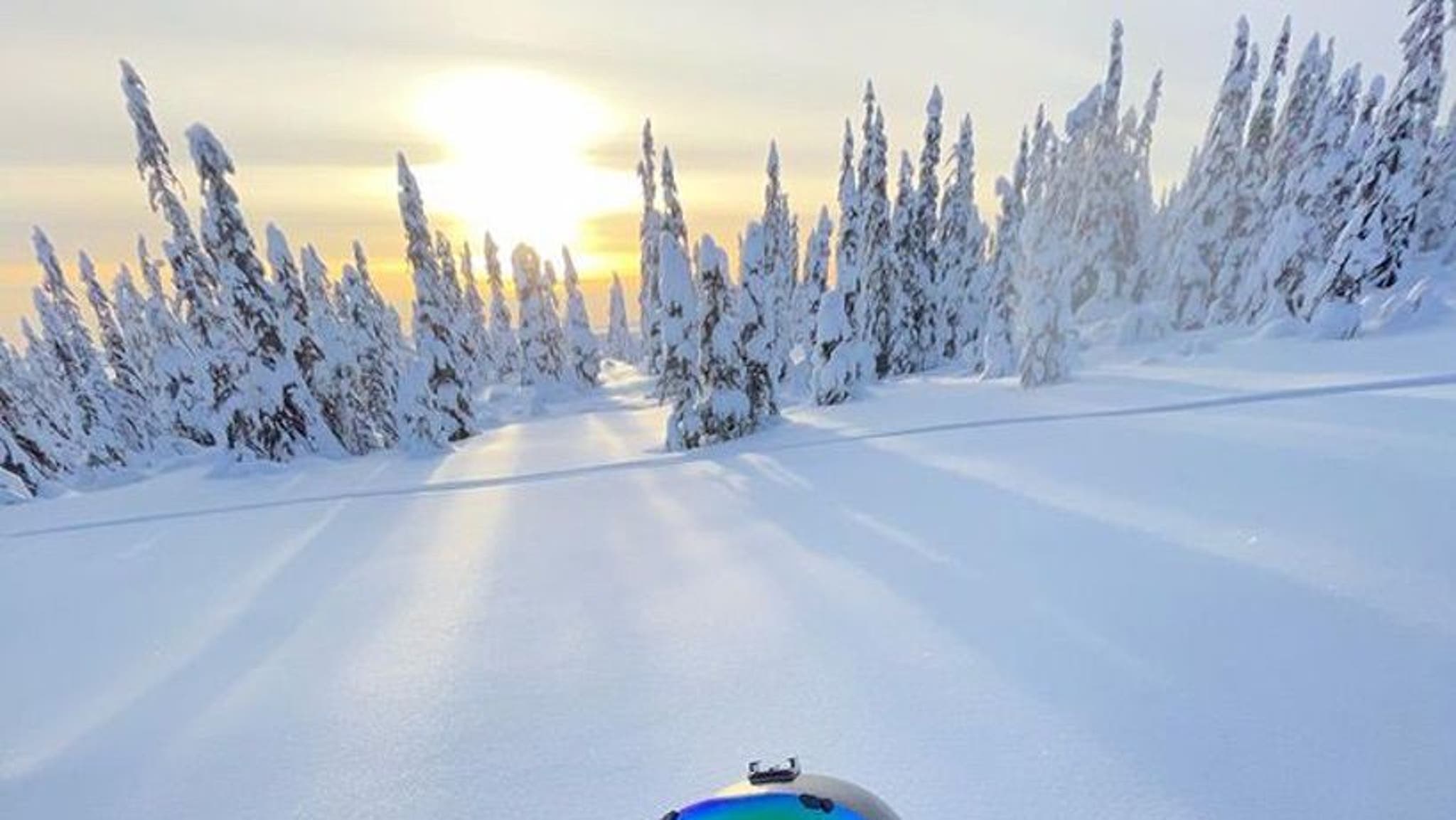 Snowy Stars Playing Winter Sports
