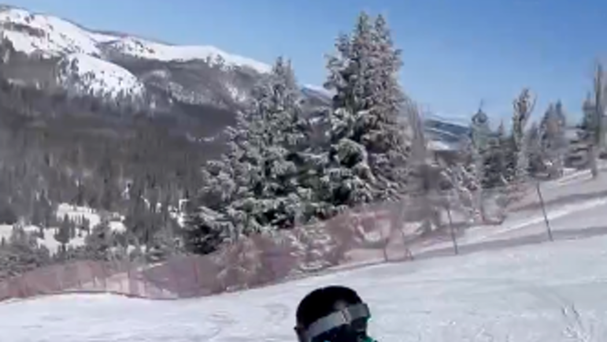 Snowy Stars Playing Winter Sports