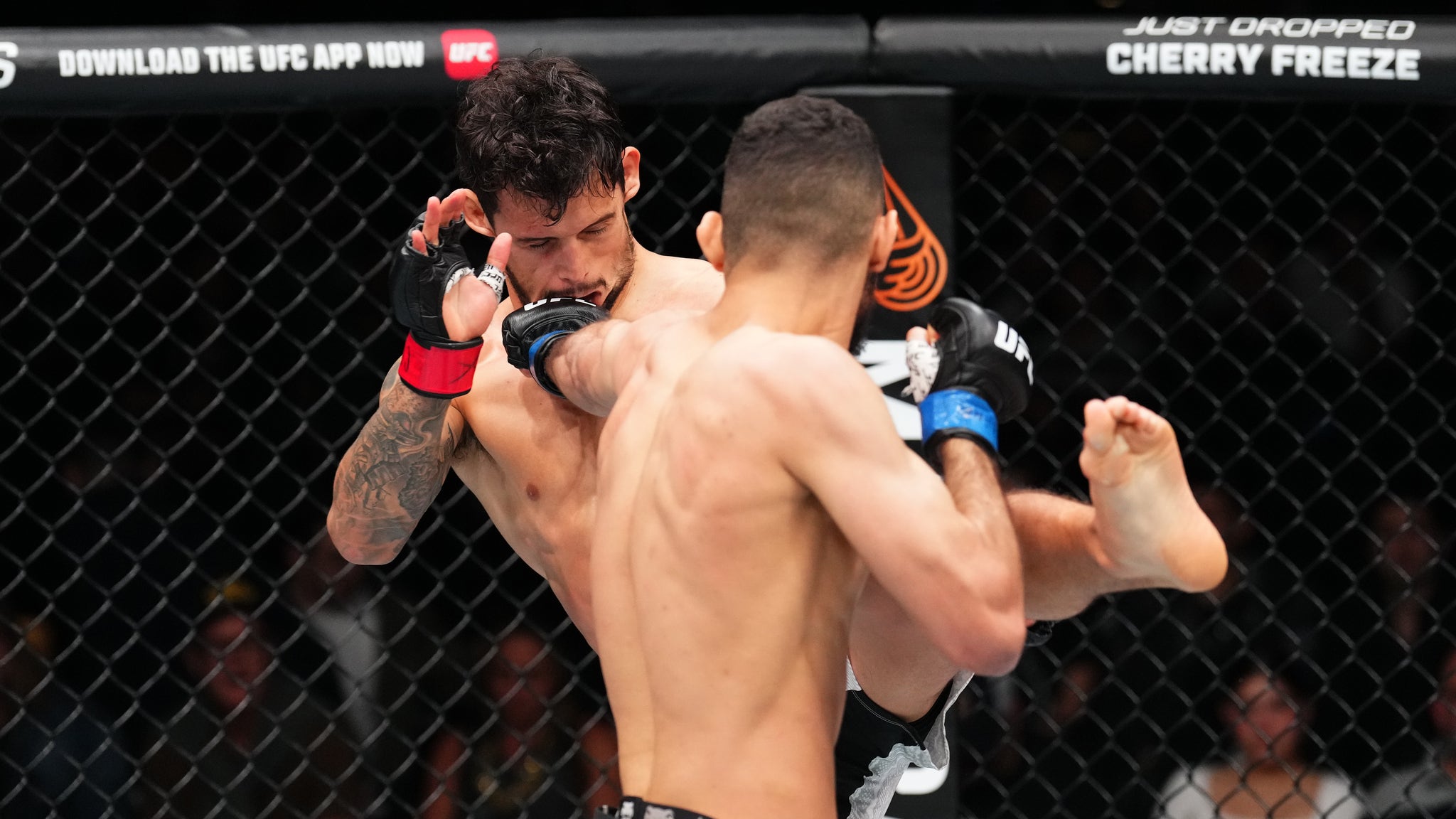 UFC Fight Night in Mexico