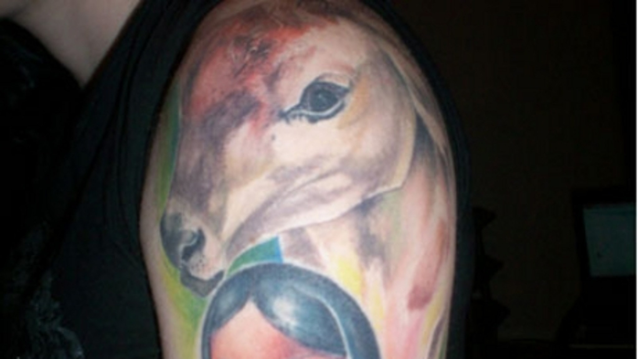TMZ's Incredible Ink Contest