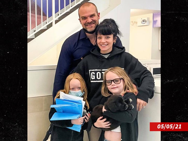 Lily Allen Children Lily Allen's Dog Rehomed, Doing Well With New