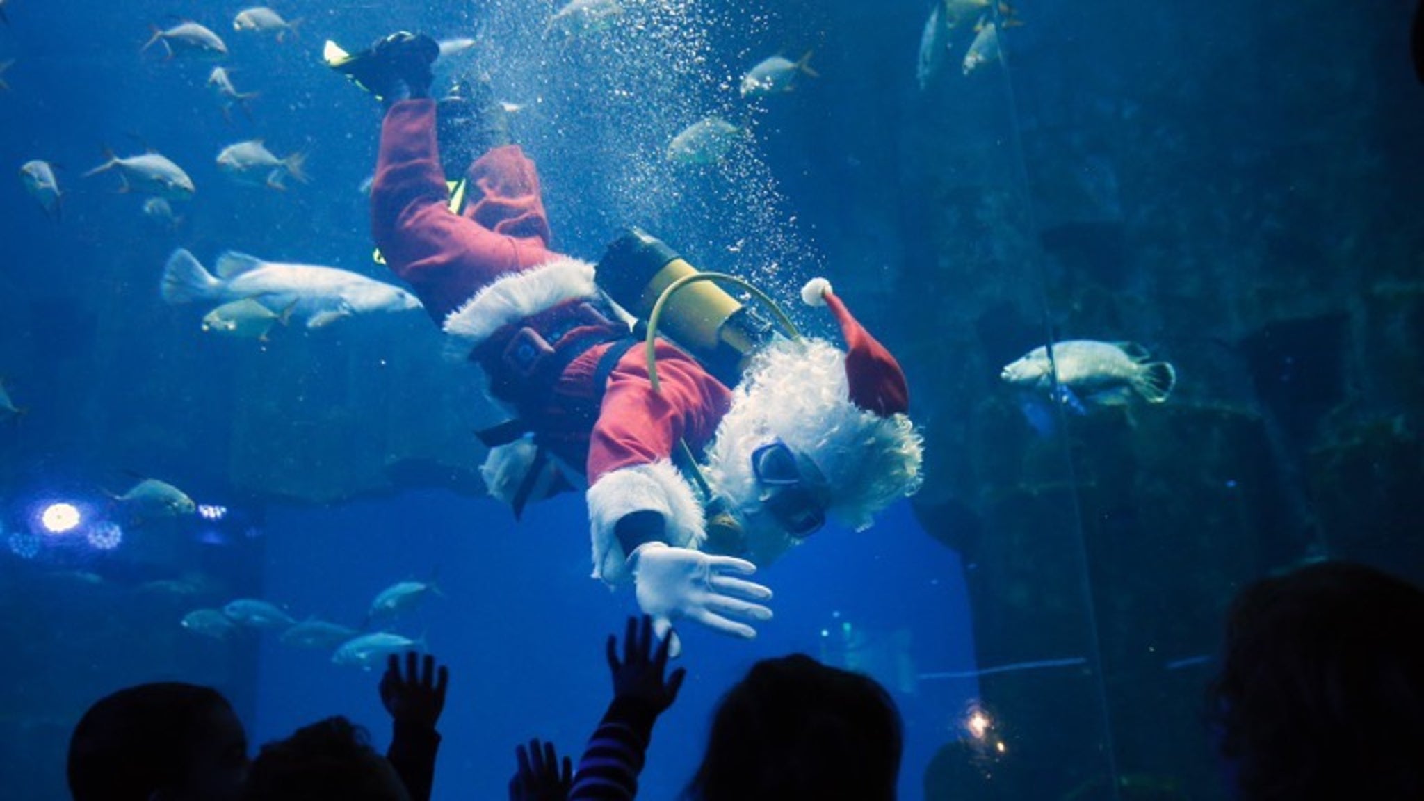 Scuba Divin' Santa -- Under the Sea