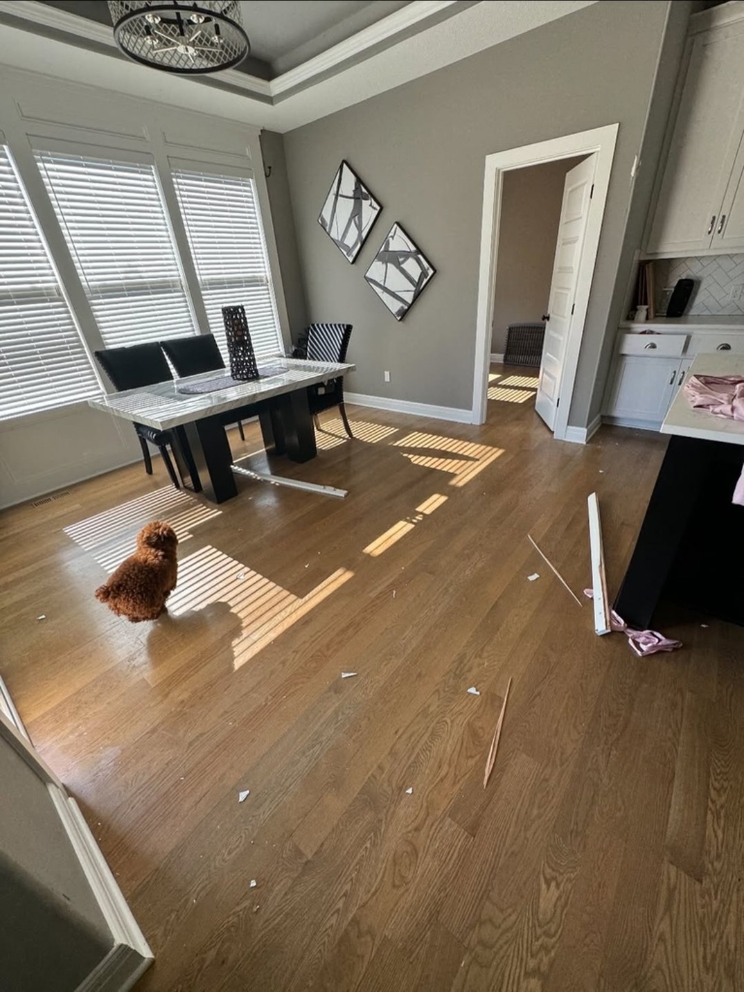 Rashee Rice's Ex Shares Alleged Property Damage