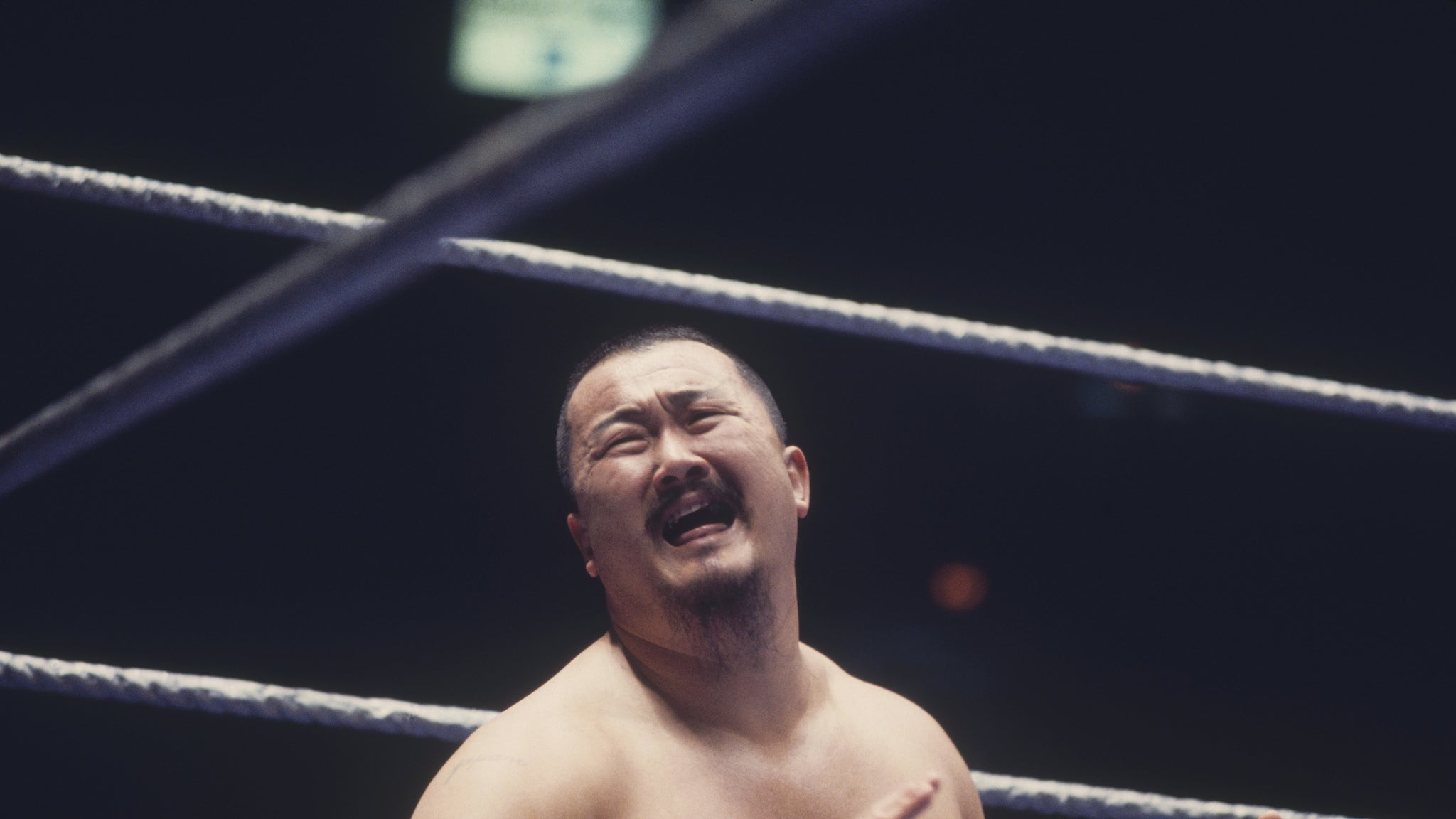 Remembering Mr. Fuji