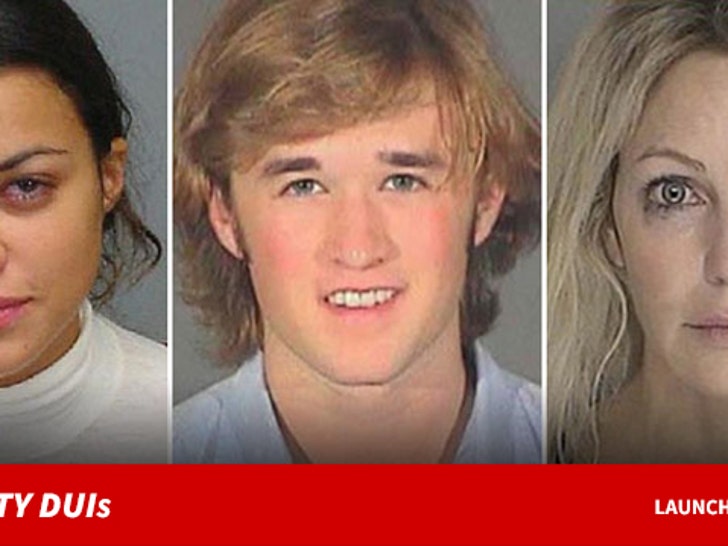 Playmate Ashley Mattingly Charged for Drunken Golf Cart Ride