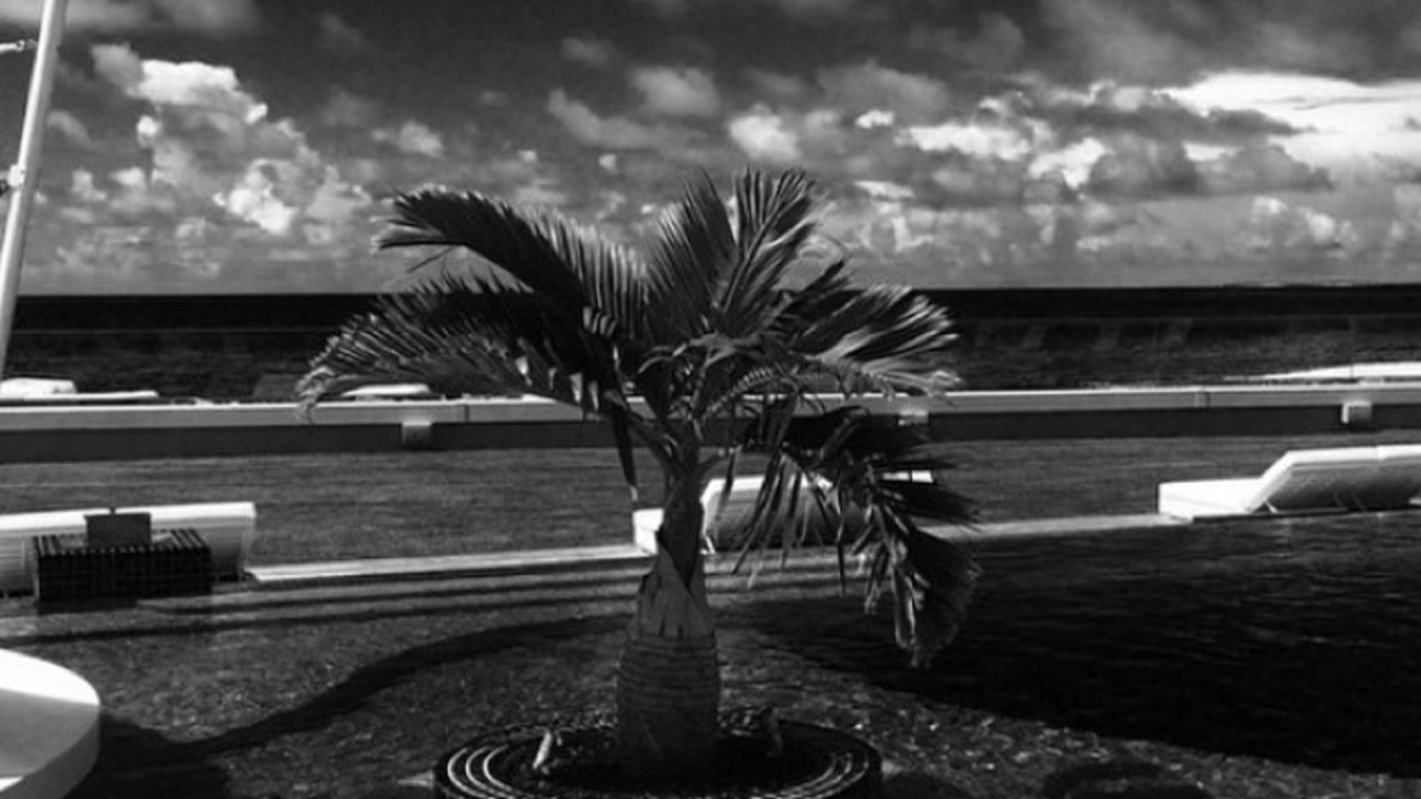 Drake's Sexy Shirtless Photos