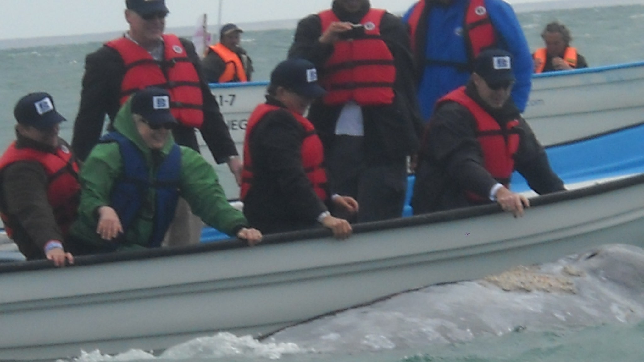 Hillary Clinton -- A Whale of a Time!