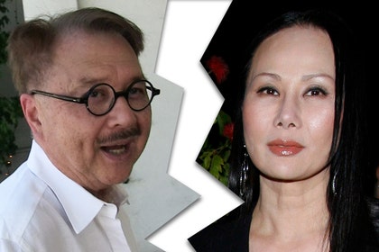 Owner Of Mr Chow