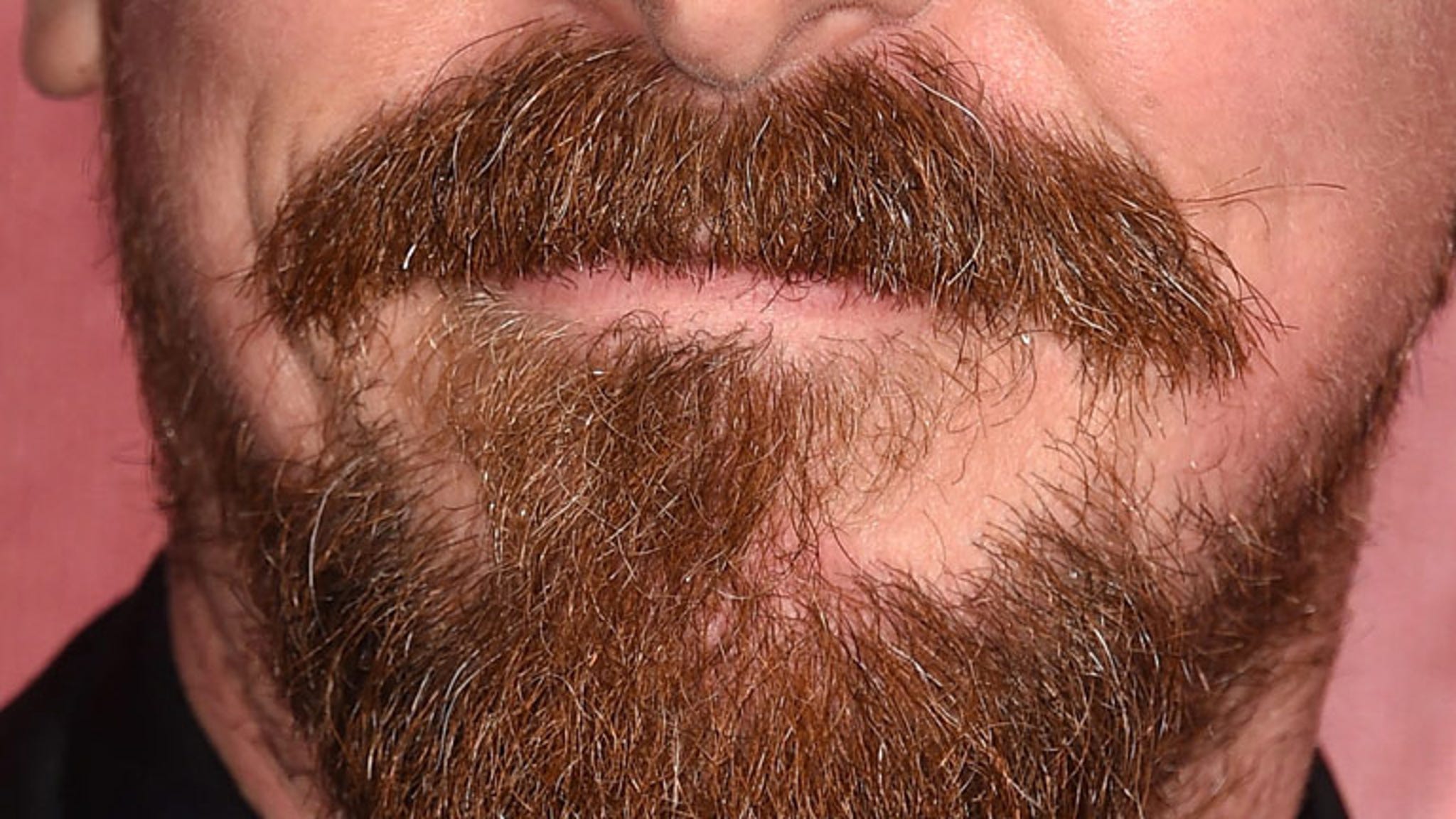 Guess Whose Winter Scruff -- Bearded Buds