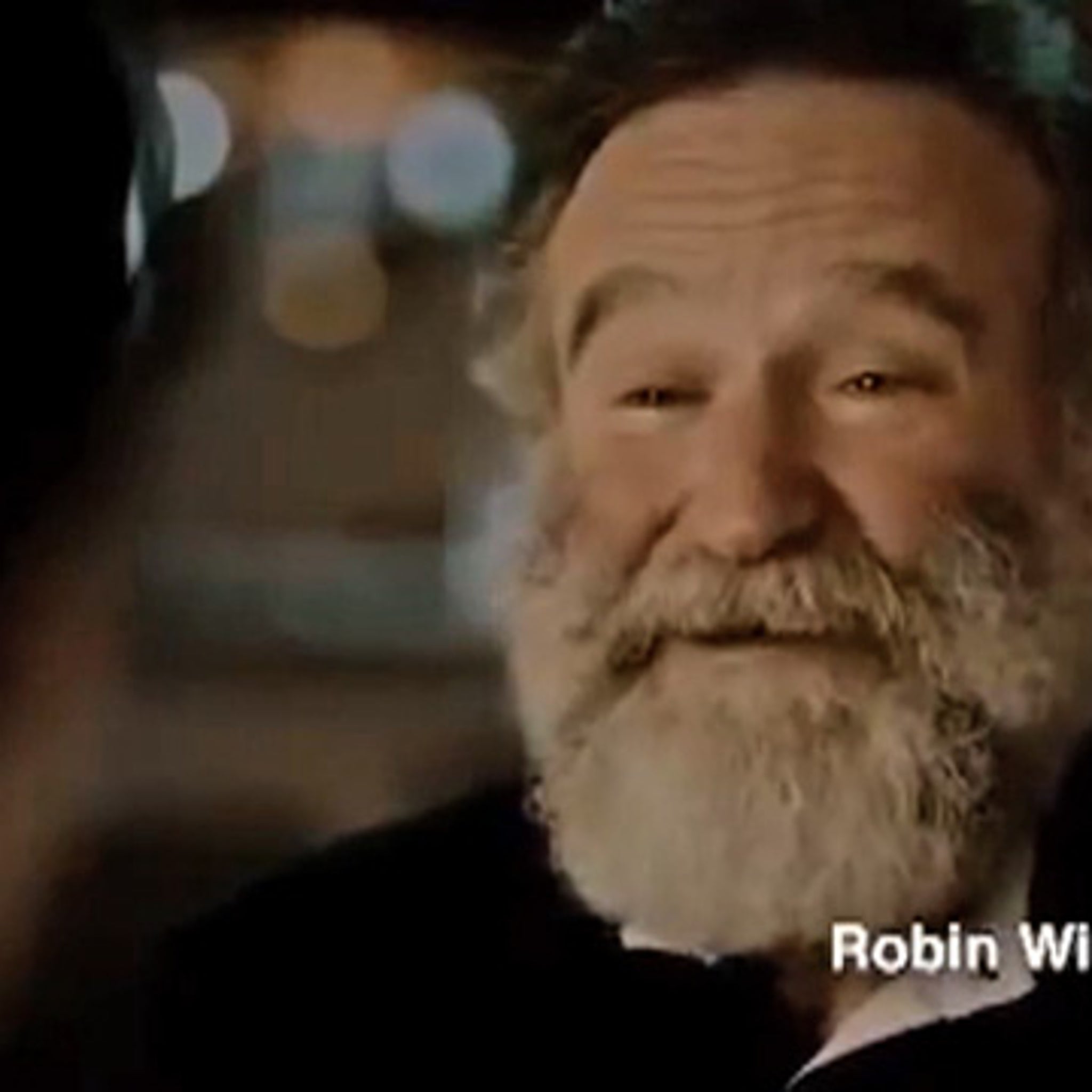 Robin Williams Legend Of Zelda
