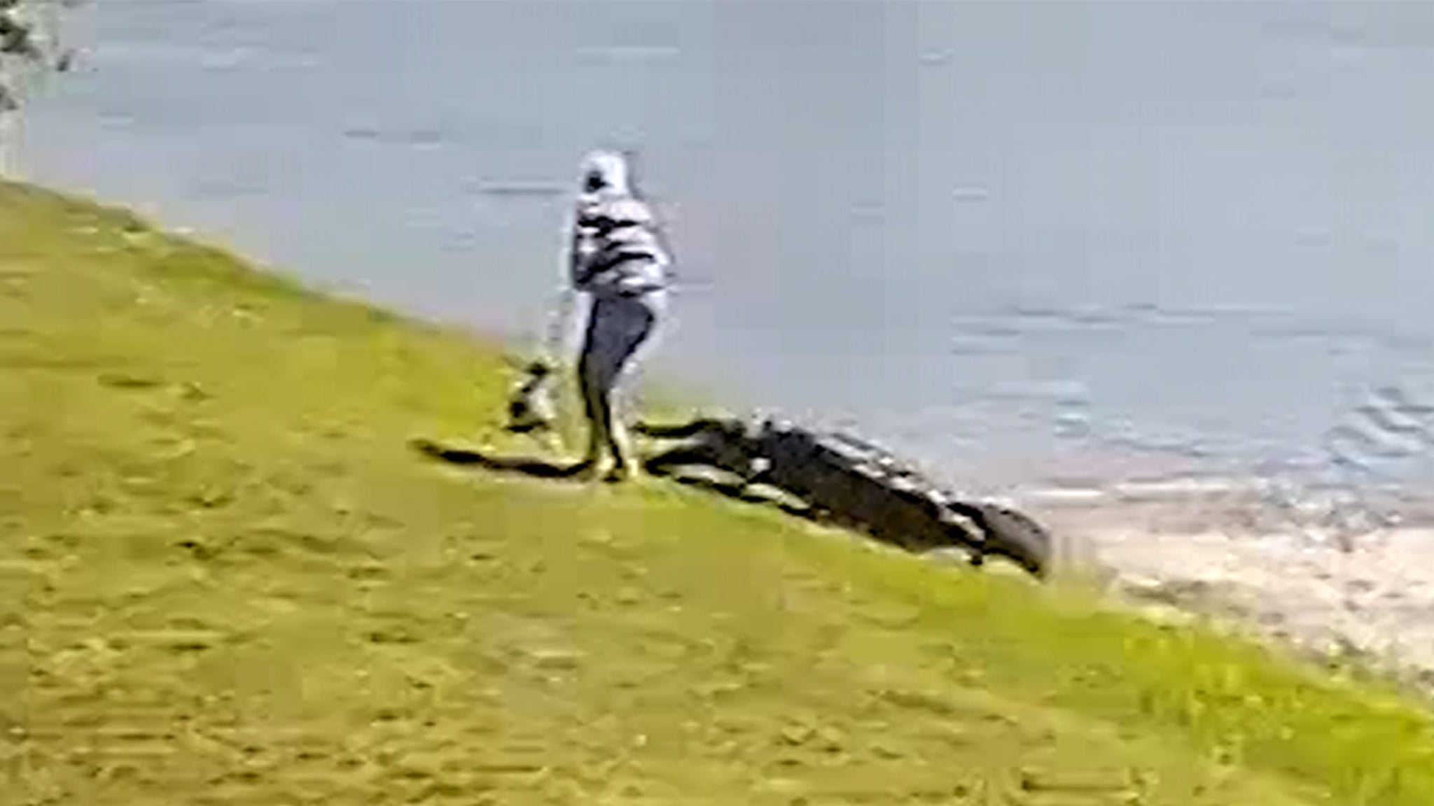New Video Shows Fatal Florida Alligator Attack Frantic 911 Audio Released New Video Shows Fatal Florida Alligator Attack Frantic 911 Audio Released