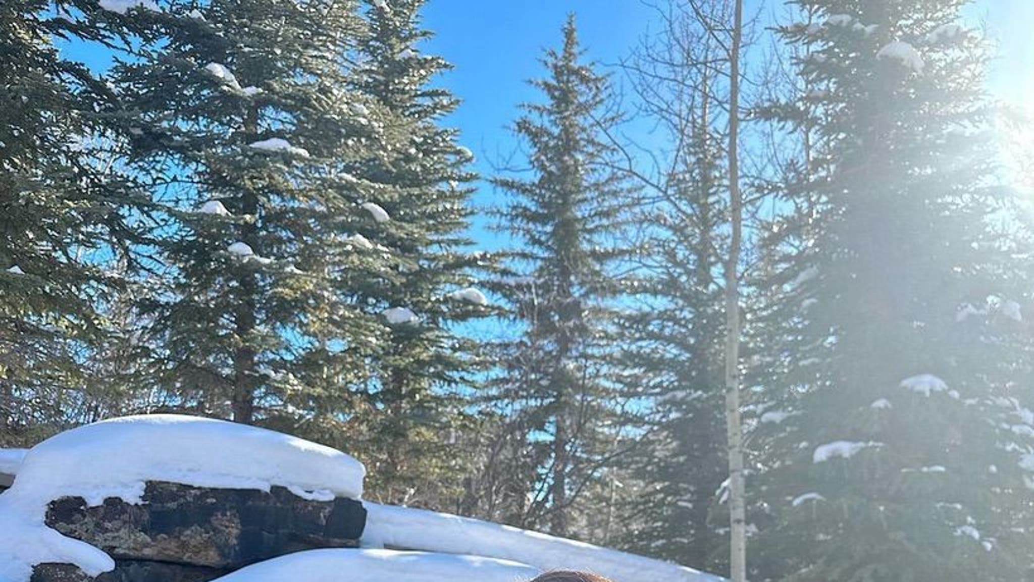 Stars In Snow ... Brrr It's Cold Out Here!