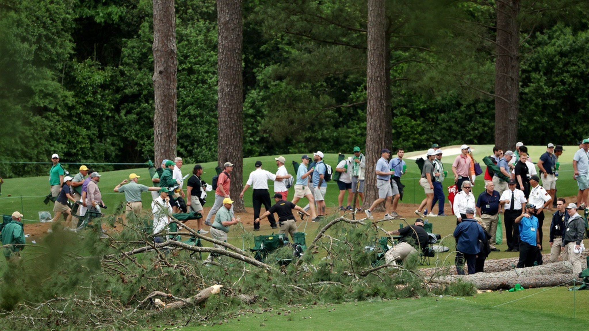 Tree Falls At The Masters