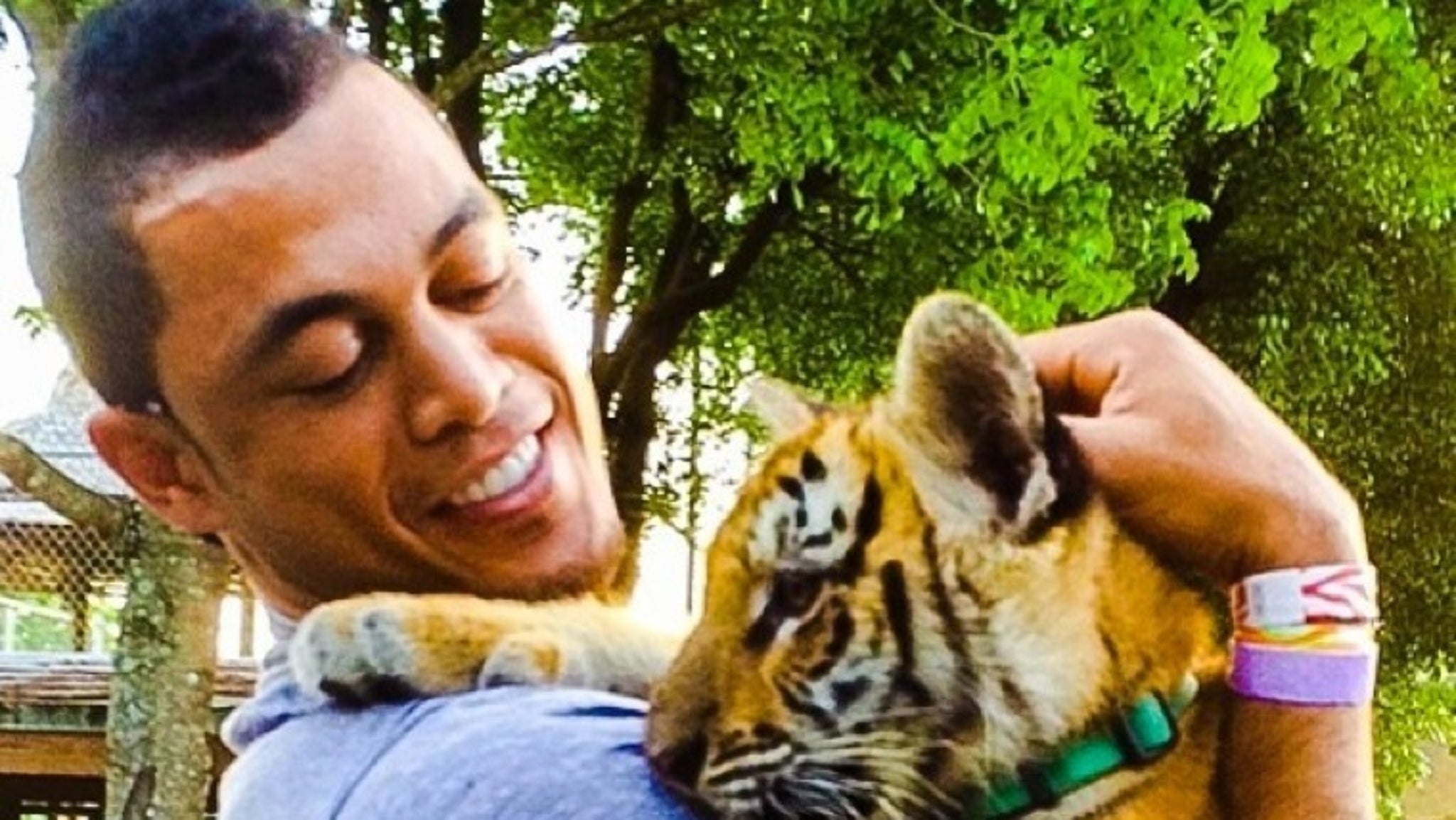 Stars With Exotic Felines