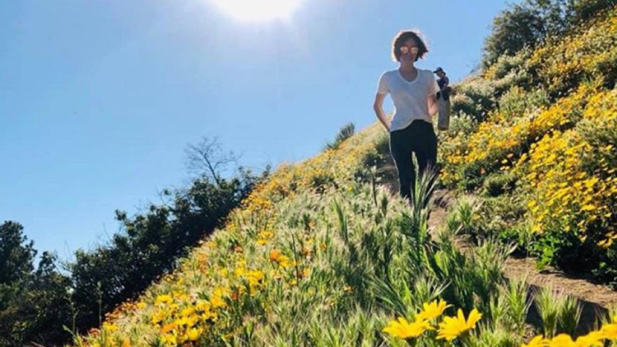 Super Bloom Stars -- Flower Power!